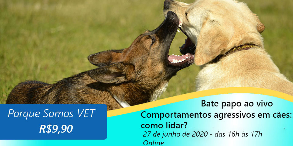 Bate papo ao vivo – Comportamentos agressivos em cães: como lidar? – Ibra Bate papo ao vivo – Comportamentos agressivos em cães: como lidar? – Ibra